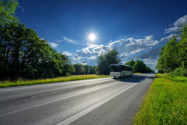 Réseaux de bus Arc en Ciel 2024 - VALJOLY - VERT MARINE
